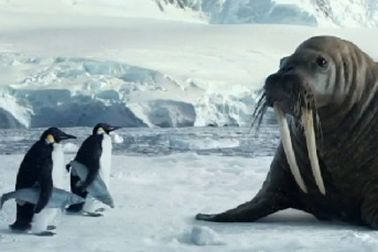 Argos launches humorous walrus ad | Campaign US