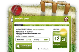 Brit Oval launches cricket wicket widget | Campaign US