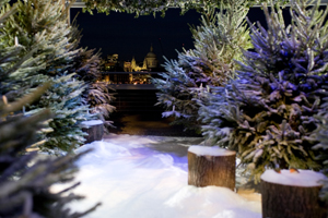 Package of the week: The Deck Icy Christmas