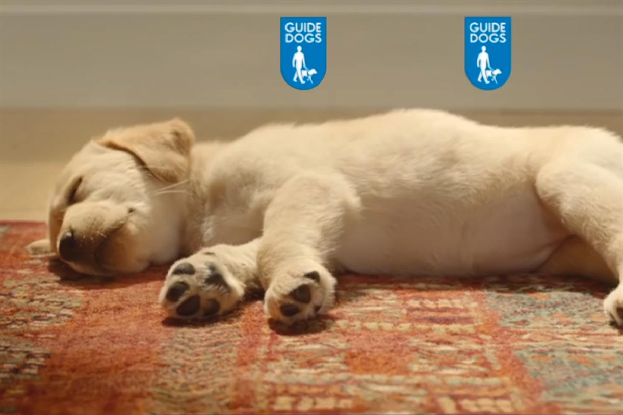Proximity London and MC&C capture Guide Dogs