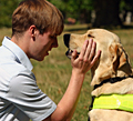 Guide Dogs replaces WWAV Rapp Collins with TDA