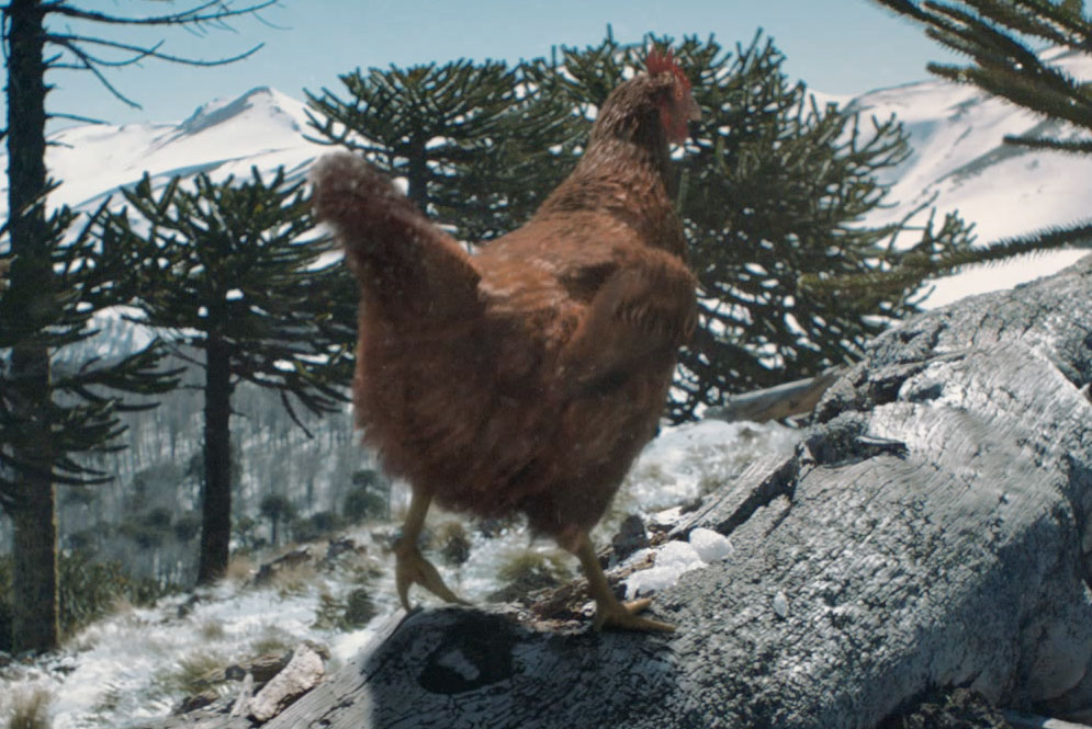 KFC's Western-style Christmas ad puts turkey in its place