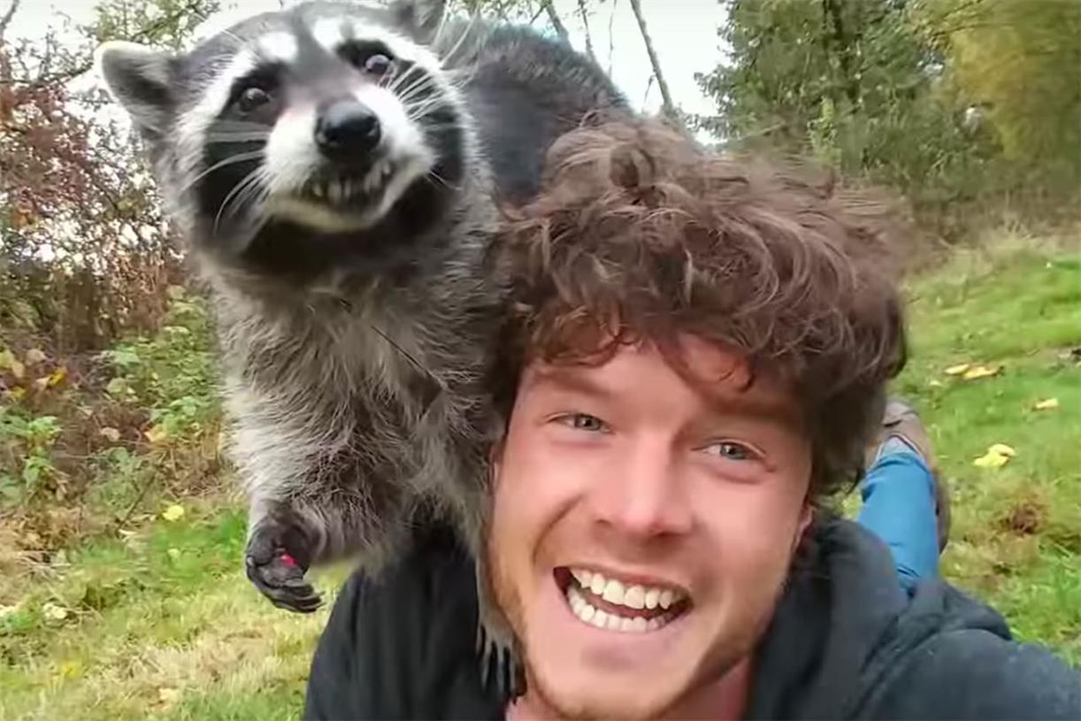 Campaign Viral Chart: LG's ad with animal selfies is most shared