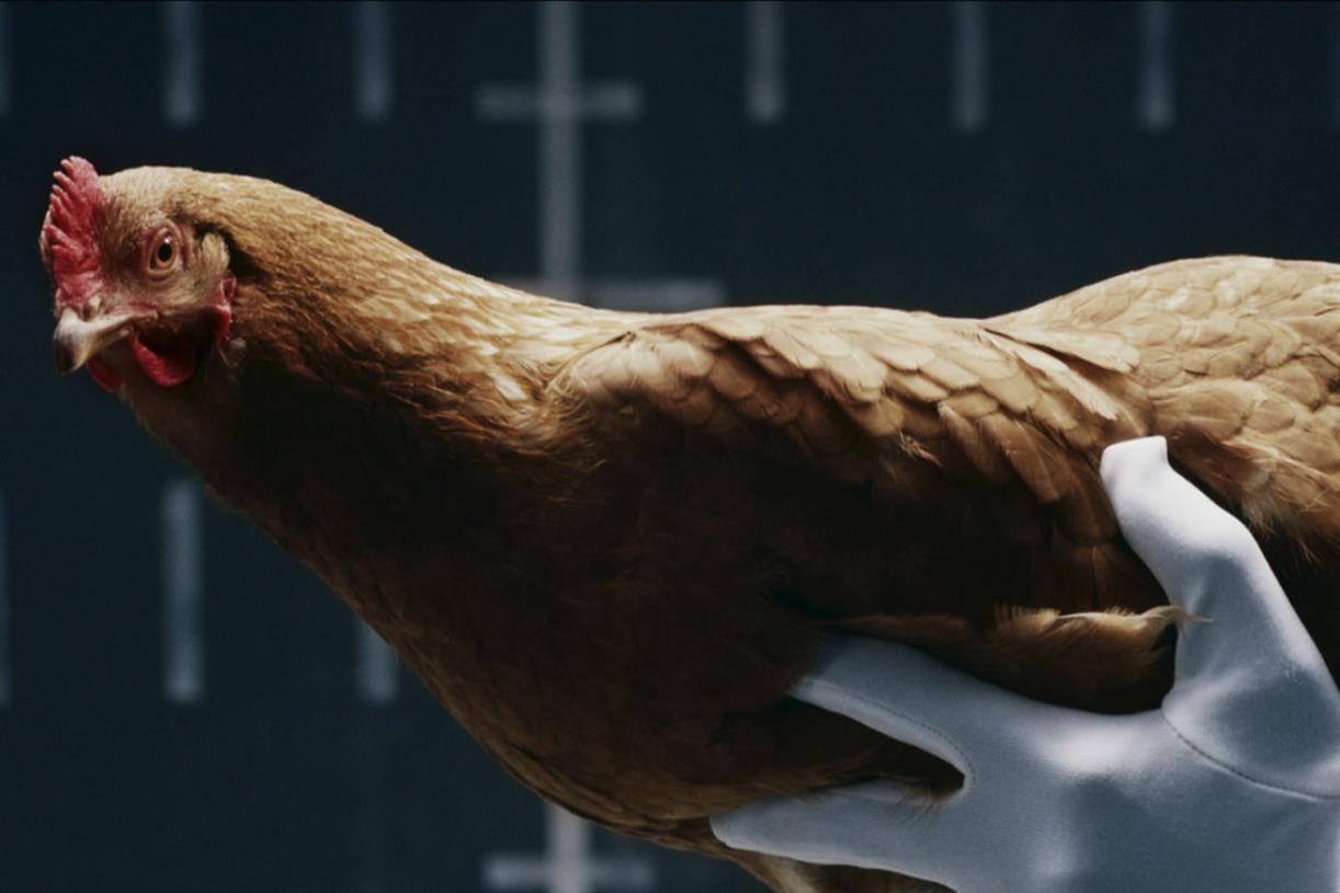 Mercedes-Benz's daring 'Dancing hens' ad recalls the true meaning of ...