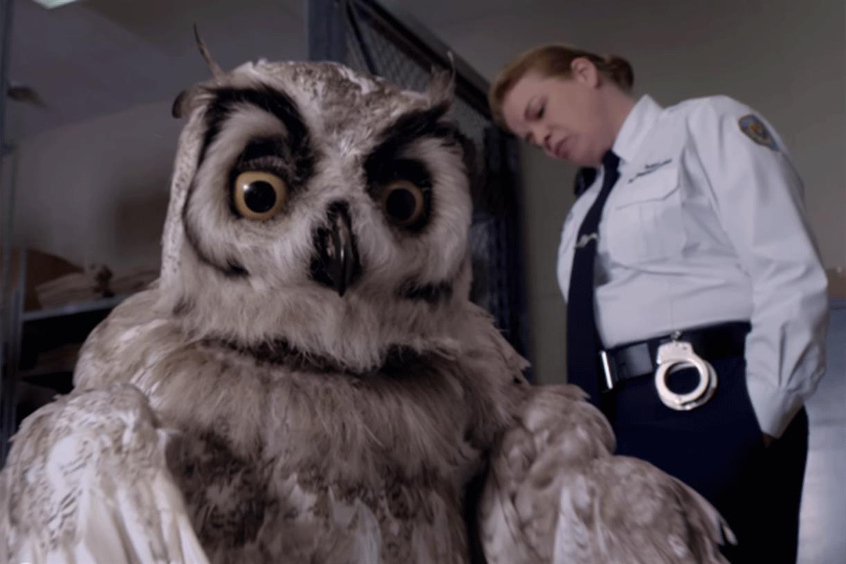 Virgin Media's owl character is the new inmate in Orange is the New Black