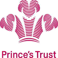 Demographix to assist The Prince's Trust | Campaign US