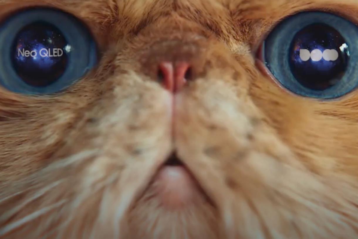 Samsung and DCM add feline 'Wow' to 2023's movie blockbusters