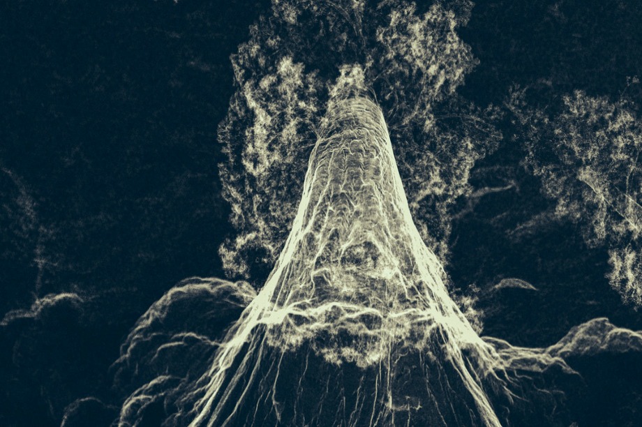 Southbank Centre hosts VR 'tree' experience