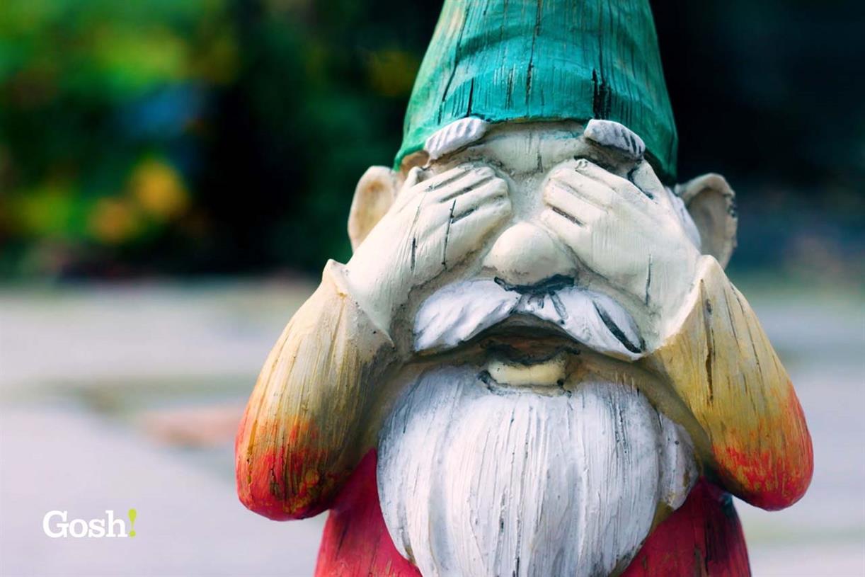 Turkey of the Week: Gosh darn it, Gosh!