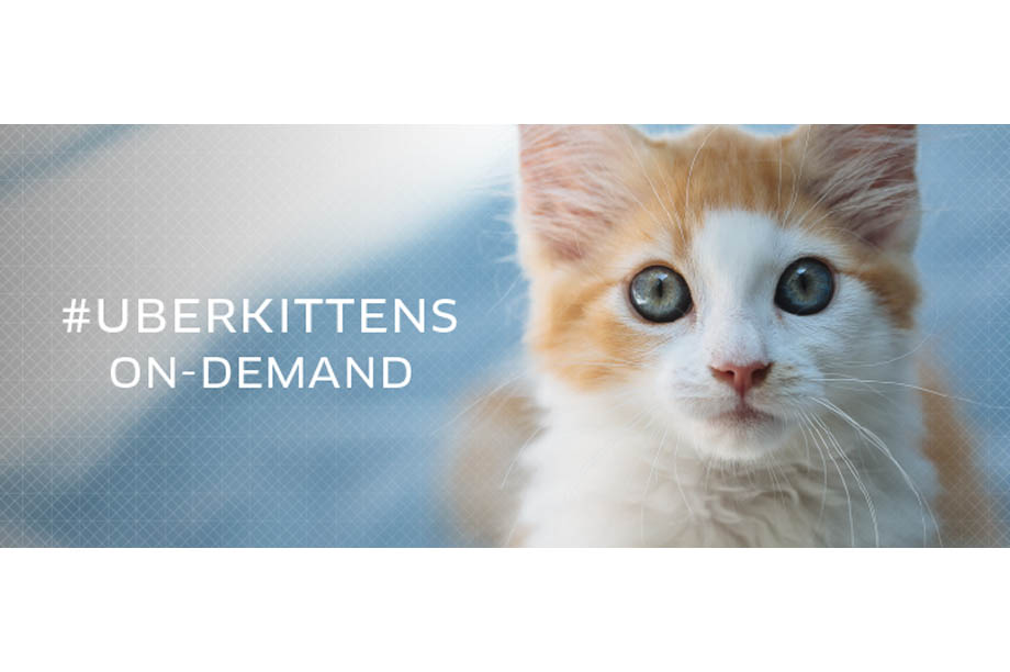 Global: #UberKittens comes to Australia