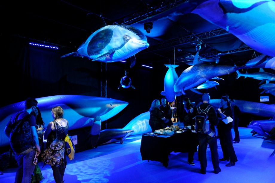 Telegraph Media Group launches Oceans Festival