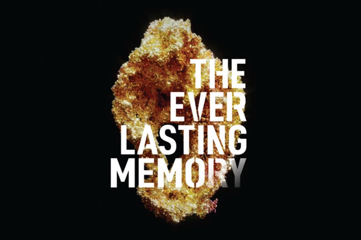 School Reports 2023: Above & Beyond | Campaign US