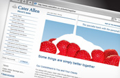 Cater Allen Private Bank targets rich clients with online campaign