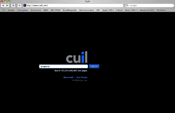 Is Cuil a Google killer?
