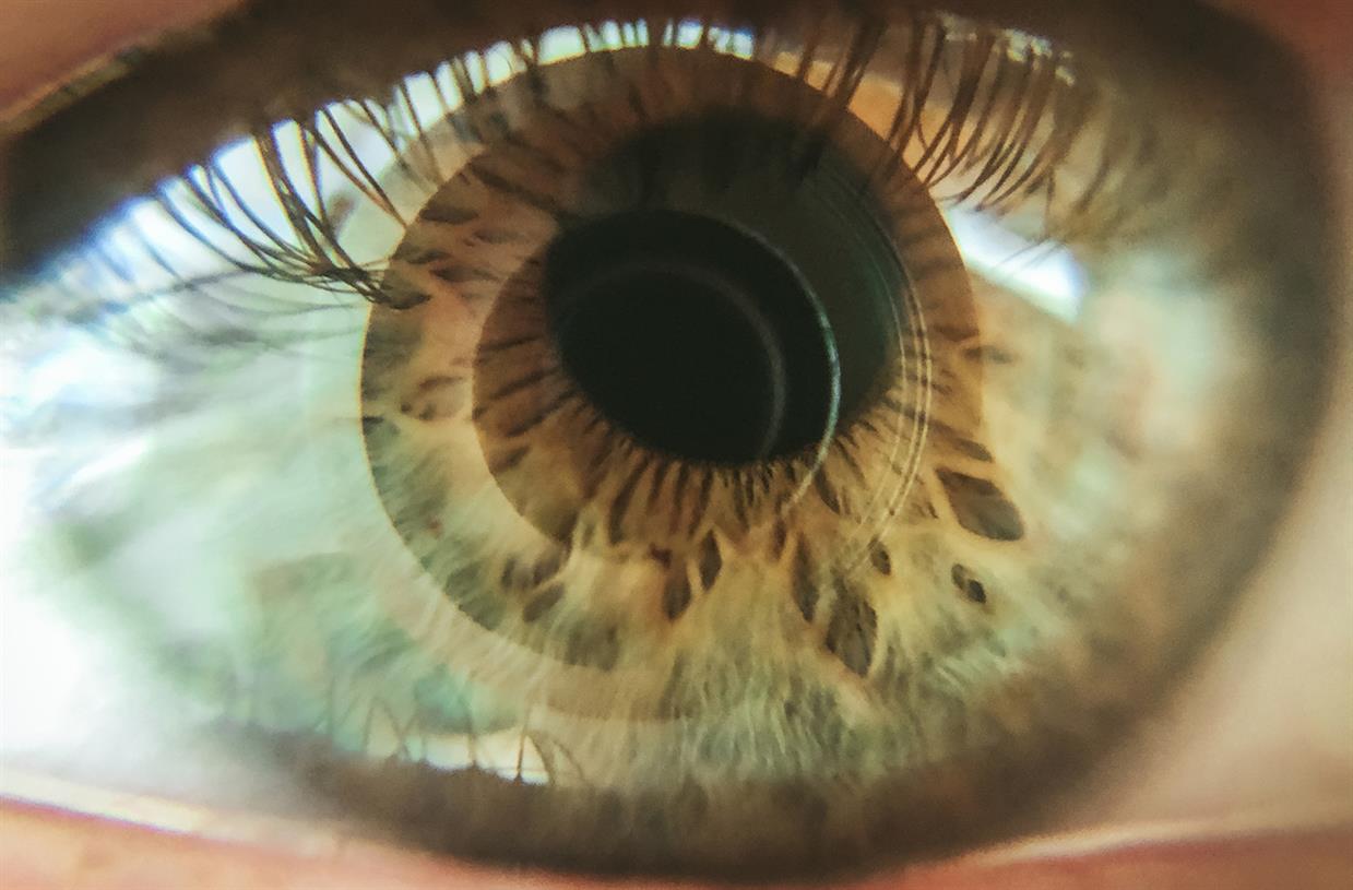 Made me stand & stare #2 | Campaign US