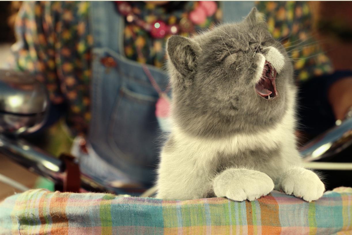 Why we're loving: Caroline Bailey-Read