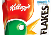 Kellogg's seeks out stars for 2009 TV campaign