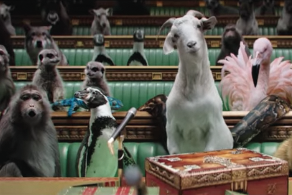 Read all about it: how The Times and Sunday Times got animals into ...