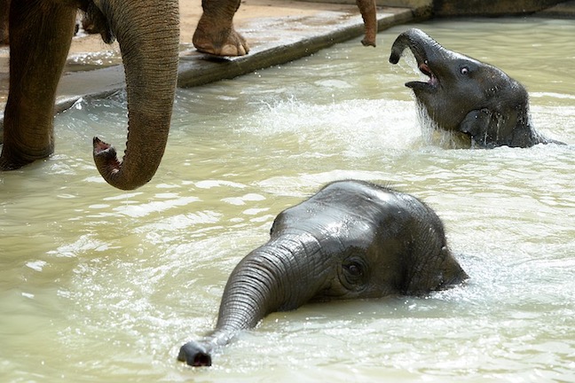 How other companies are benefiting from nudge theory - business benefits