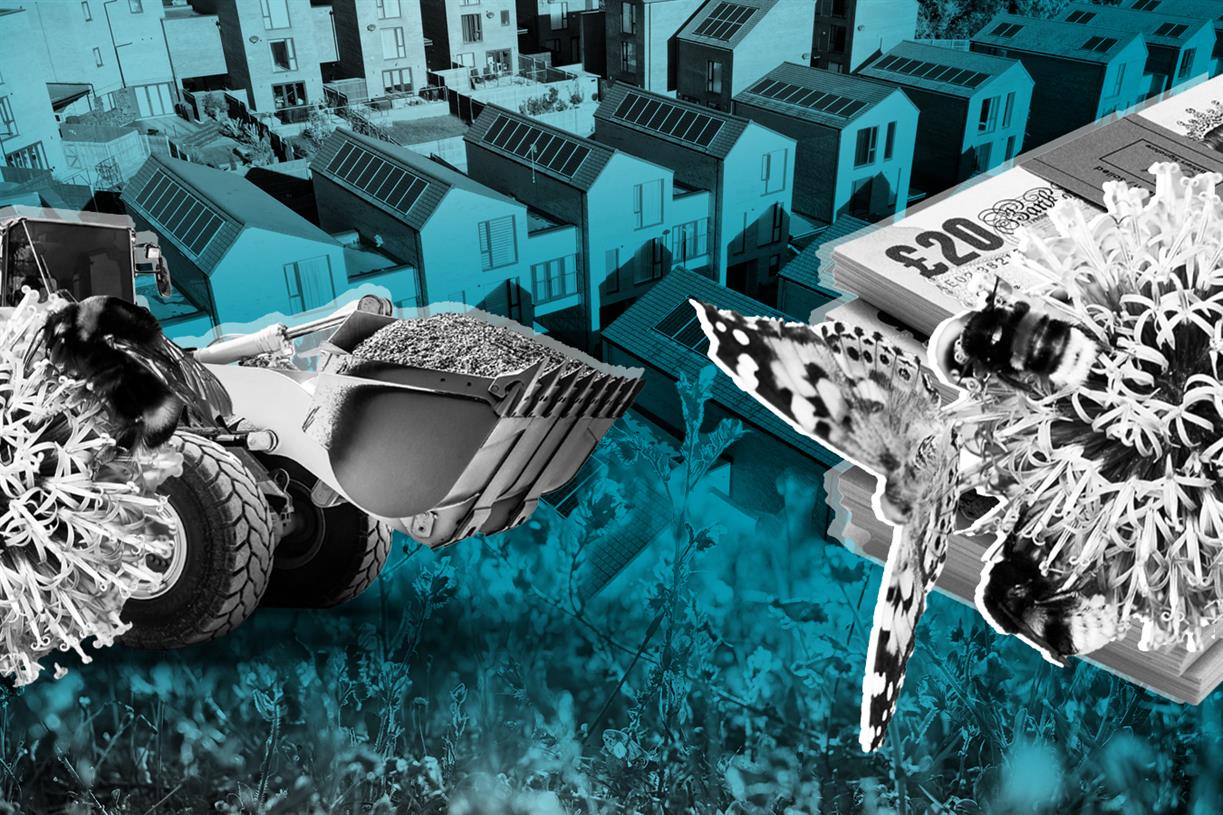 WATCH ON DEMAND - BNG is coming to town(s): Is England ready for ...