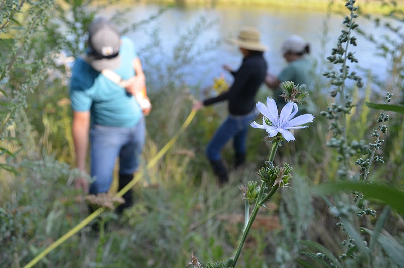 Job Description: Environmental advisor