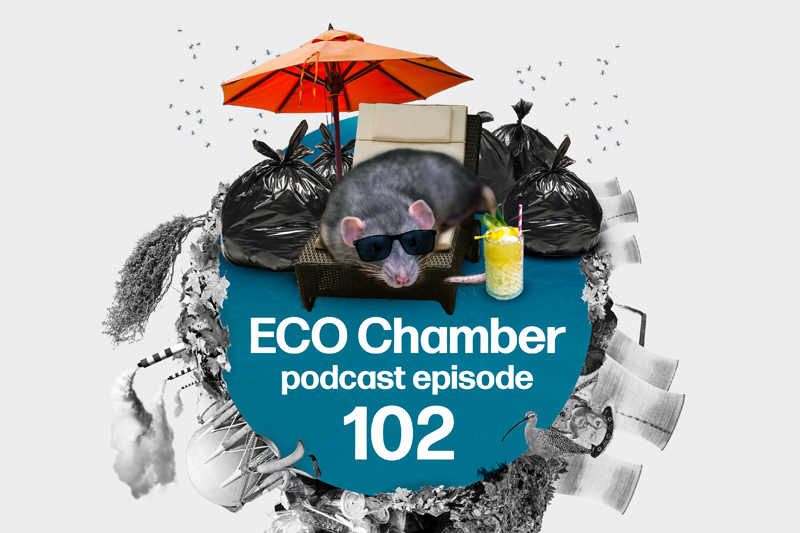 Rat summer, fresh PFAS revelations PLUS Labour's planning revolution