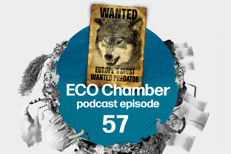 Watchdog bares its teeth, winds of change, and Europe's most wanted ...