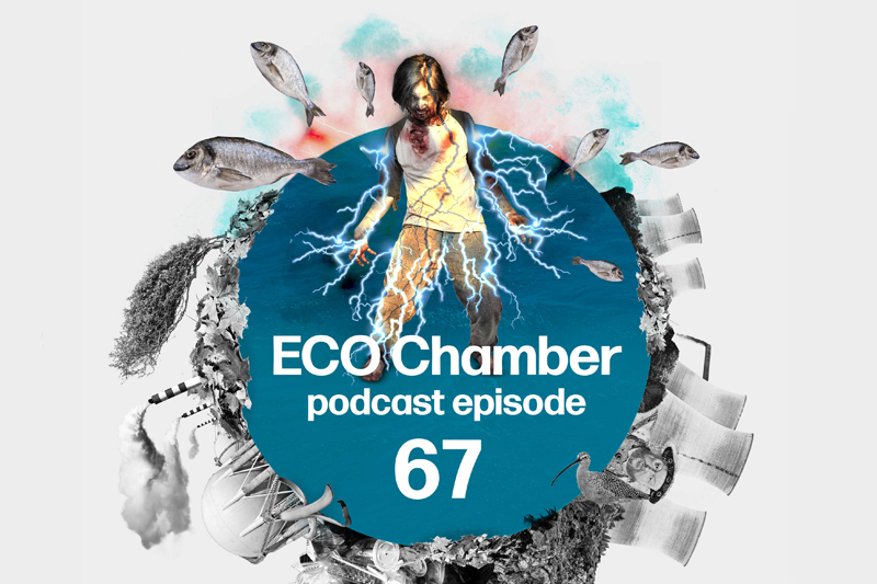 Ep 67: ECO CHAMBER EPISODE: Fish justice, zombie power project purge ...