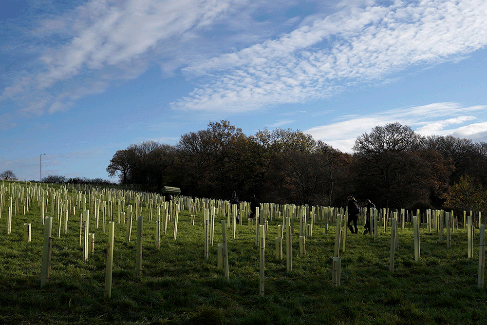 Mapping nature’s recovery: 7 things you need to know about Local Nature ...