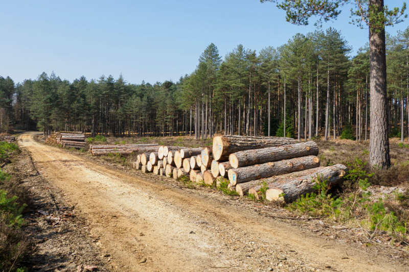 ‘No plans’ for four-day week says DEFRA agency after union poll finds ...