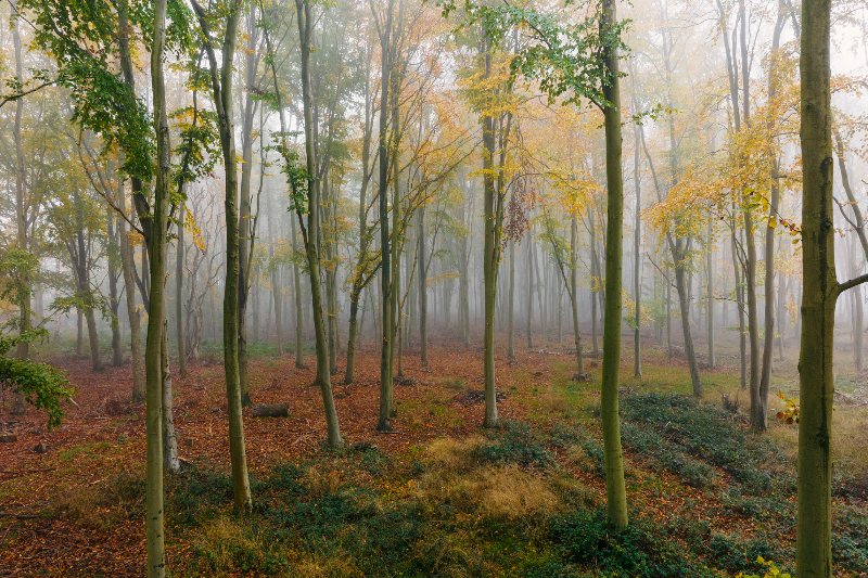 More than 170 employees leave Natural England under voluntary exit scheme