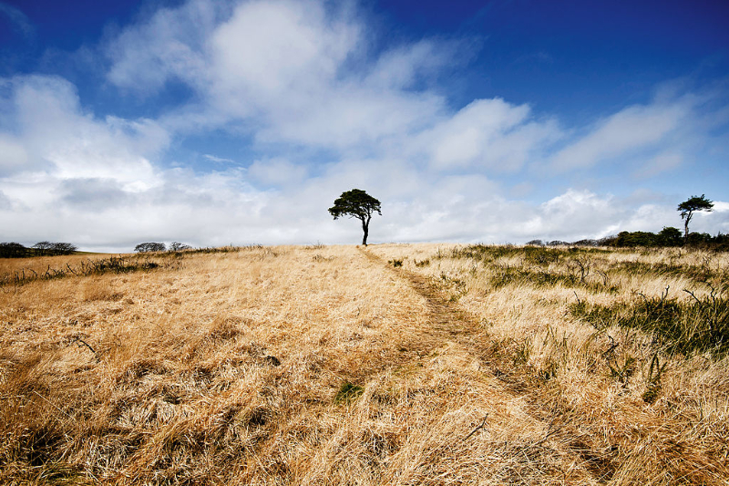 Planning Bill: 9 ways the OEP has said the government risks regression ...