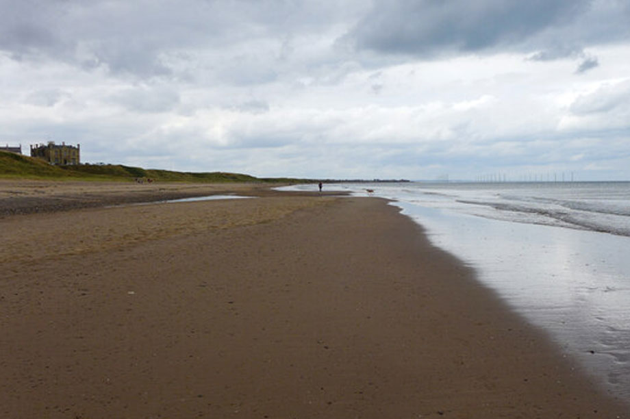 EA insists starfish deposit on Teesside beach is ‘normal’