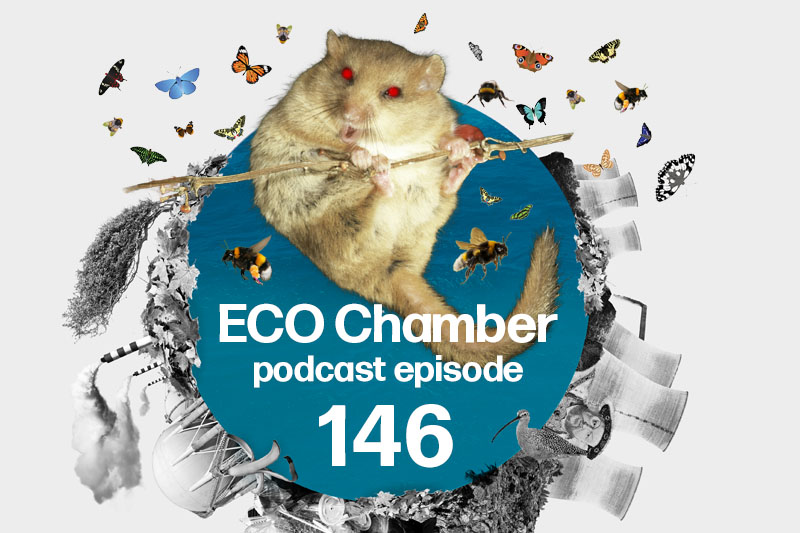 The force awakens? Tory fears over Natural England's 'new authoritarian ...