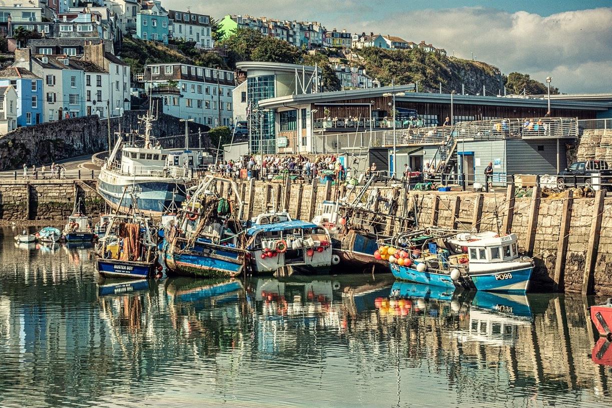 South West Water confirms crypto parasite presence in Brixham water ...