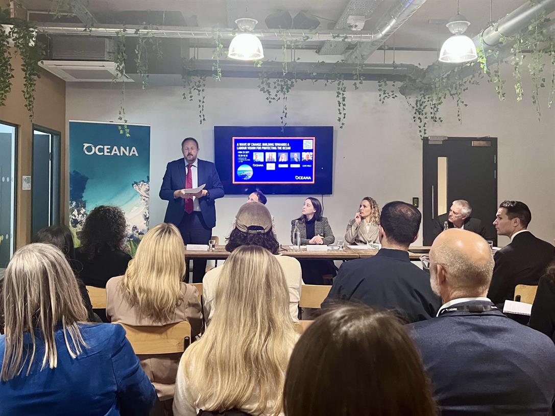 Government ‘stepping back a little bit’ on ocean commitments despite ...