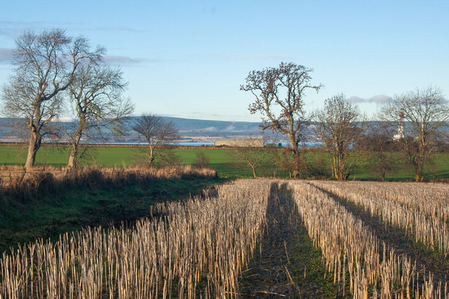 One-in-eight eligible farmers apply for first ELMs tier, says DEFRA