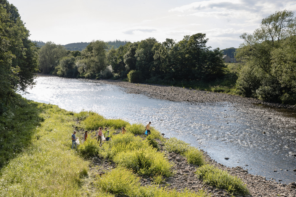PFAS ‘forever chemicals’ detected in wild fish in England