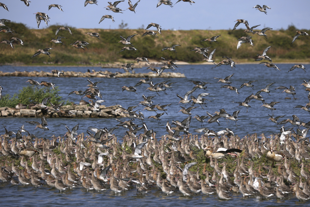 DEFRA seeks feedback on development of new species indicators DEFRA seeks feedback on development of new species indicators