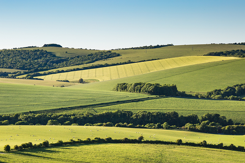 Q&A: DEFRA’s ‘payments by results’ pilot explained