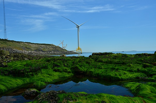 Remote island wind must compete with offshore wind prices