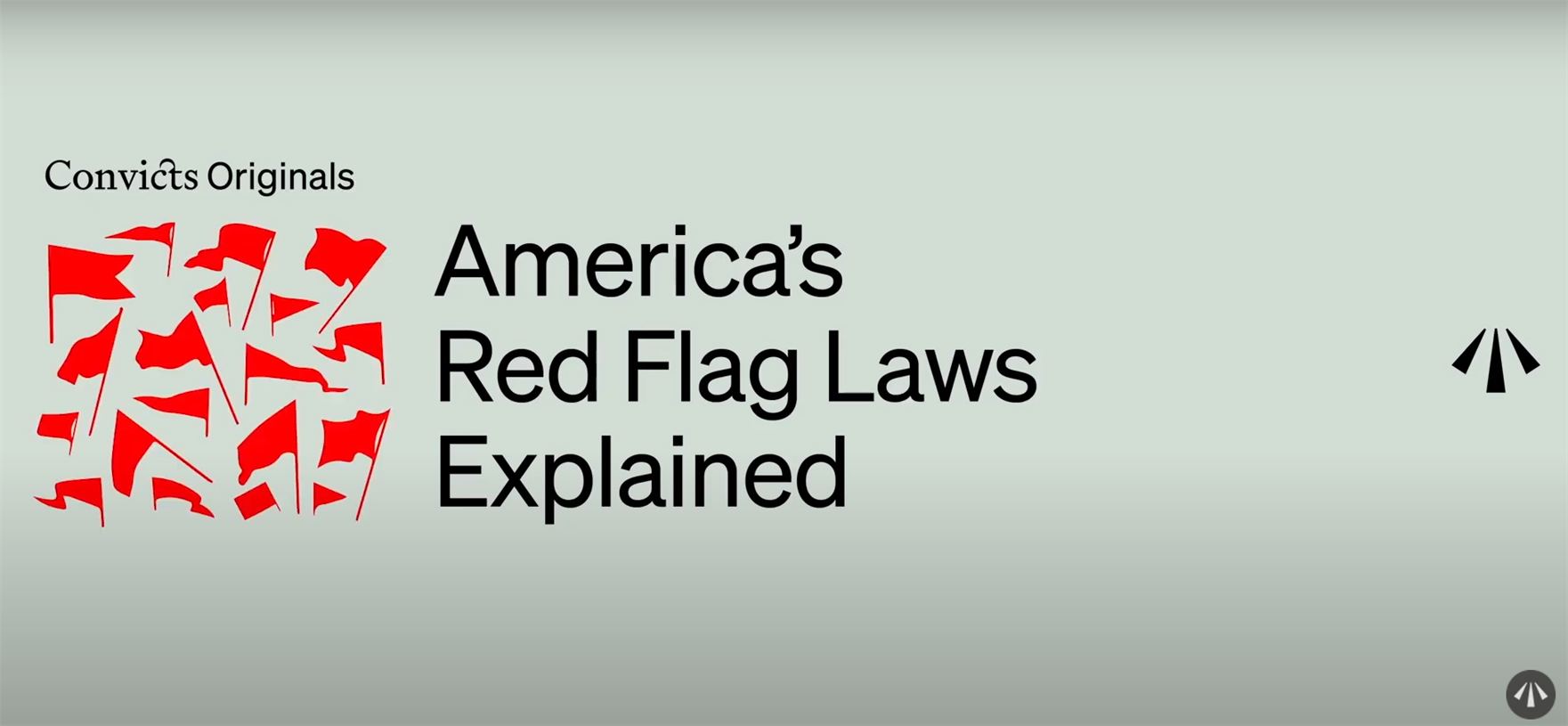 As kids head back to school, Convicts raises awareness of red-flag laws | Campaign US