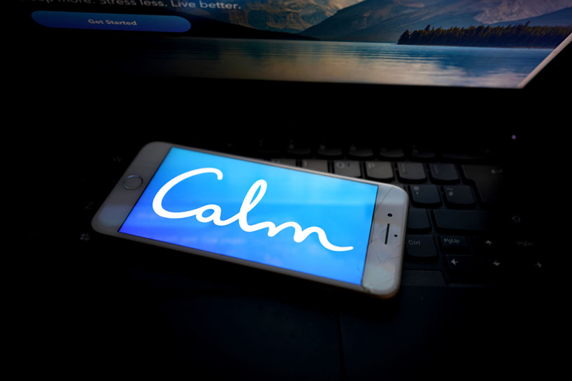 Fans declare Calm ad ‘winner of the US election’ | Campaign US