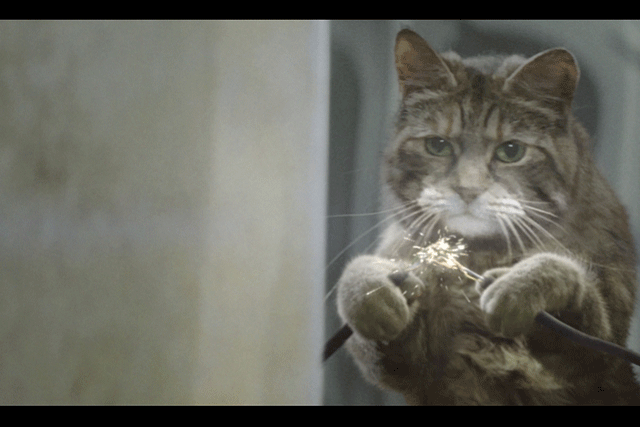 Private View: Lewis Beaton & Alex Moore and Tom Callard