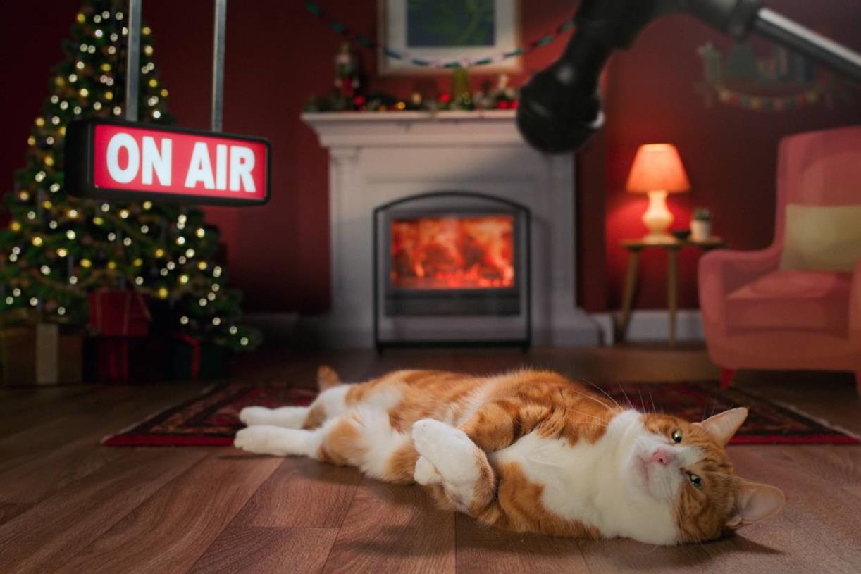 Channel 4 "Mog takeover" by Channel 4 Sales Creative Hub | Campaign US