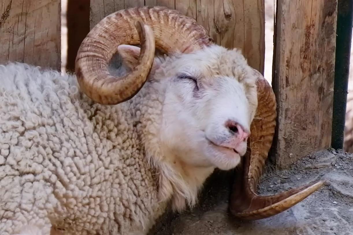 Innocent "The big knit" by BMB | Campaign US