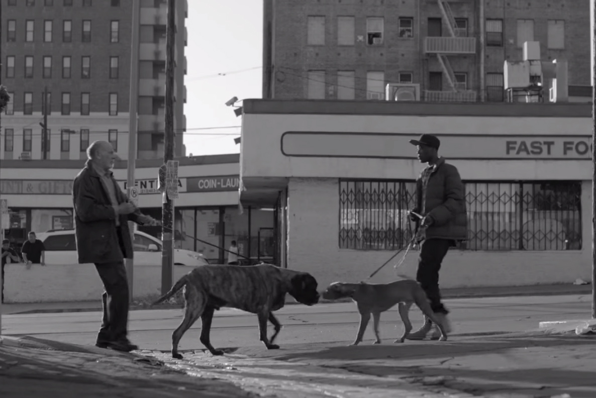 Pedigree "the walk" by BBDO New York | Campaign US