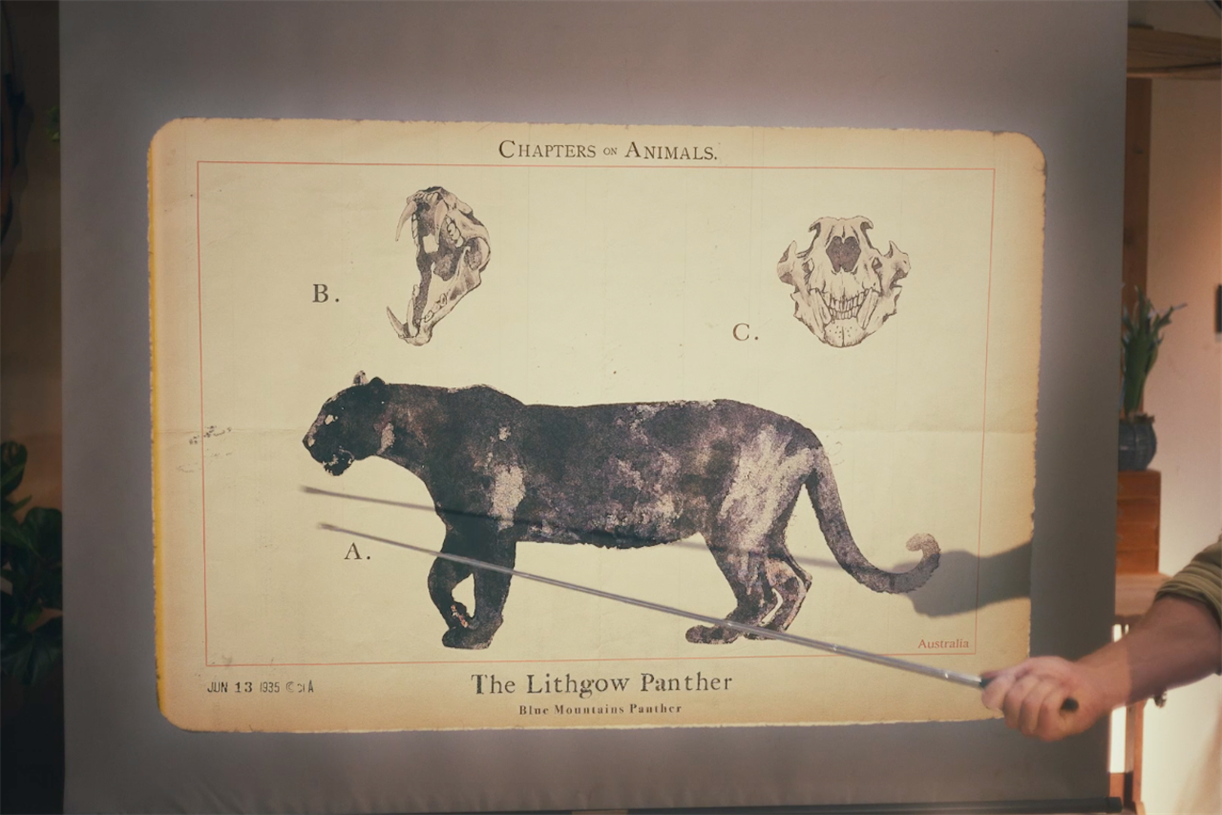 Dr Squatch "Find Squatch" by Small World | Campaign US