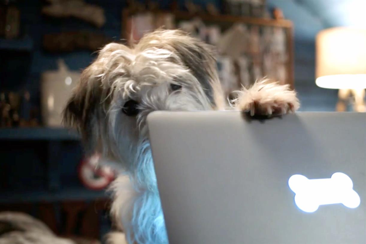 Next "Online" by Next