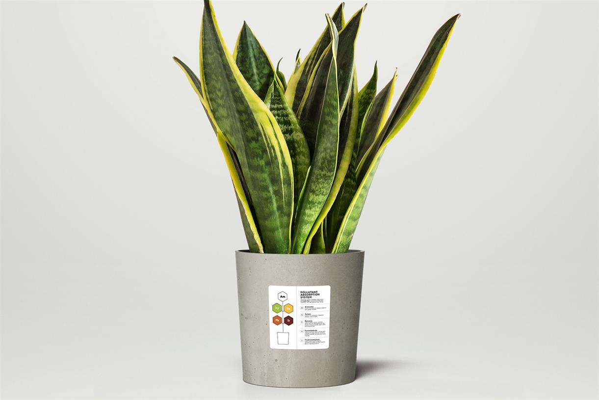 Plant Drop "Smart plants" by McCann London and McCann Health London